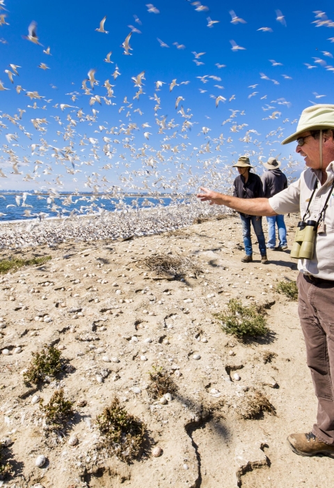 Mission and Vision | U.S. Fish & Wildlife Service