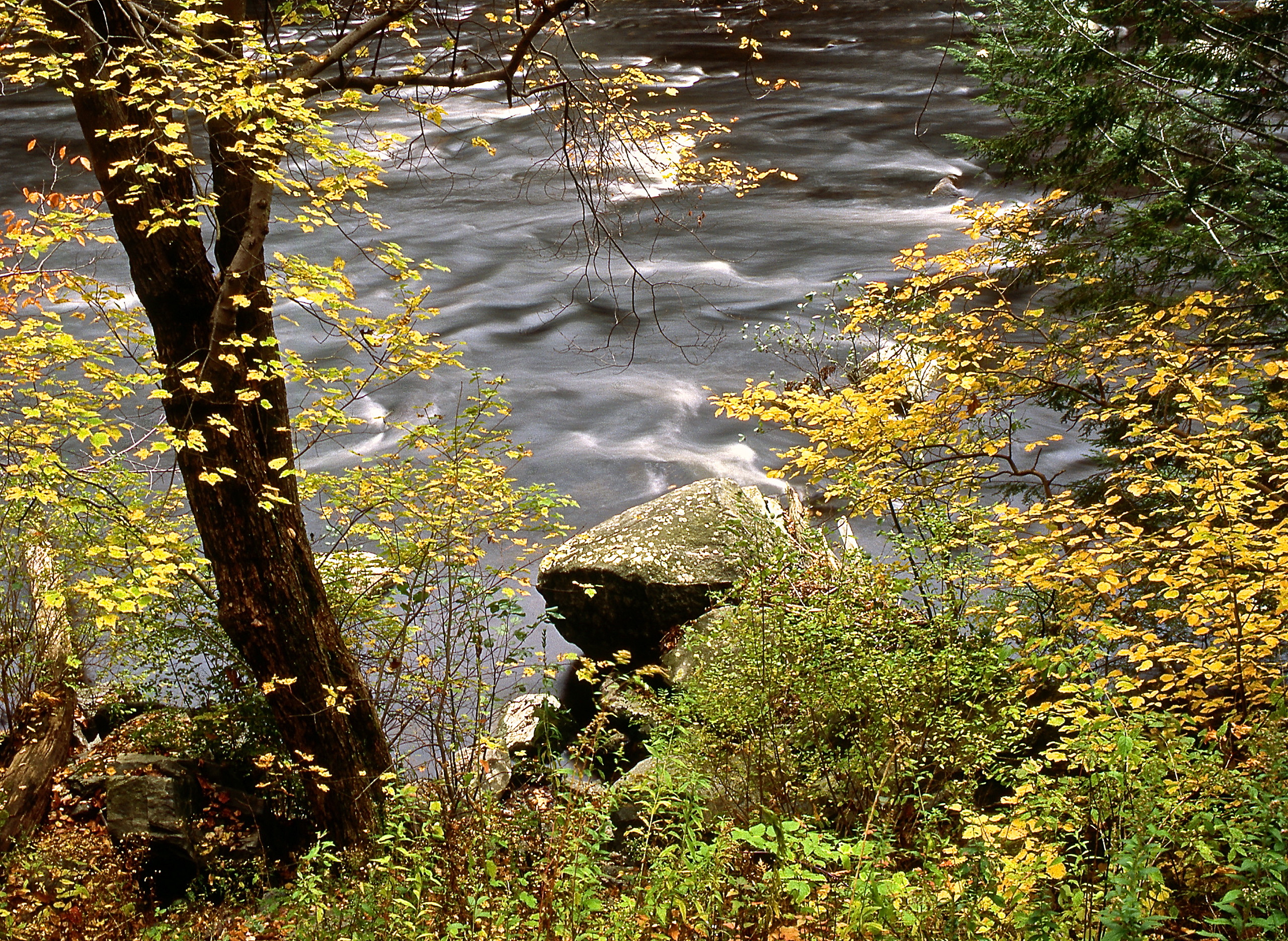 West Branch Farmington River | Rivers.gov