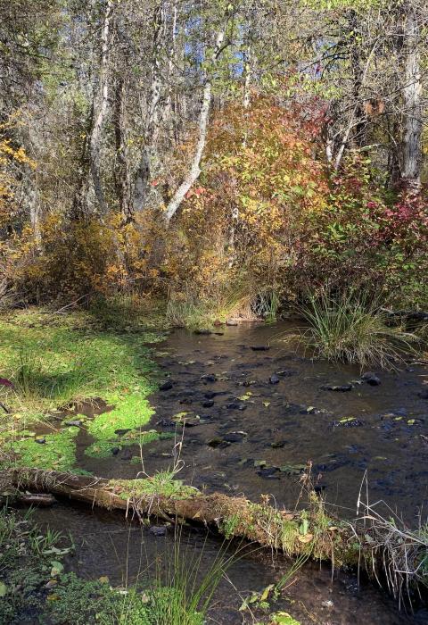 Spring Creek | Rivers.gov