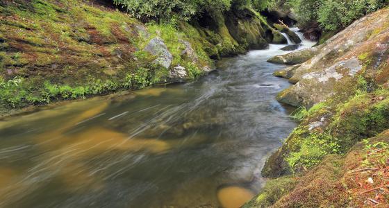 National Wild and Scenic River System | Rivers.gov