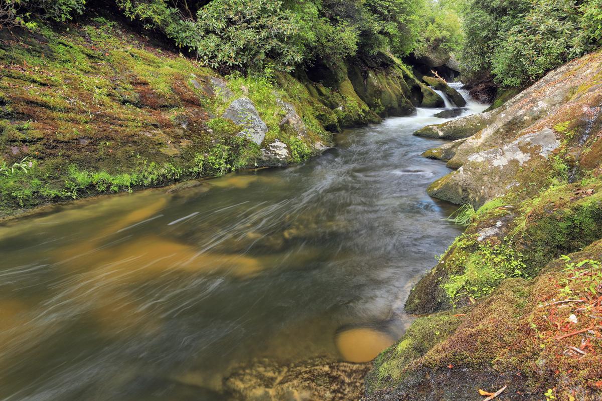 Chattooga River - Middle Gorge